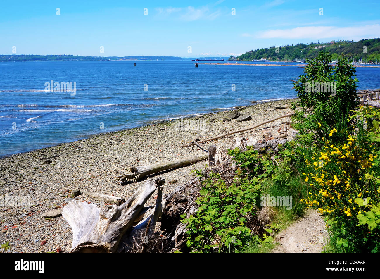 Tacoma NE Browns Point Puget Sound. Beach with Northwest flowers Stock ...