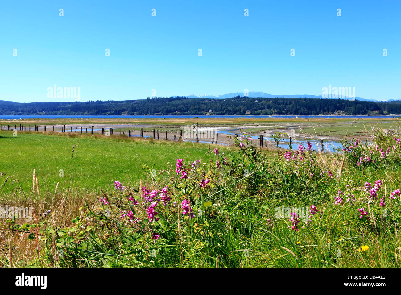 Marrowstone island. Olympic Peninsula. Washington State Stock Photo - Alamy