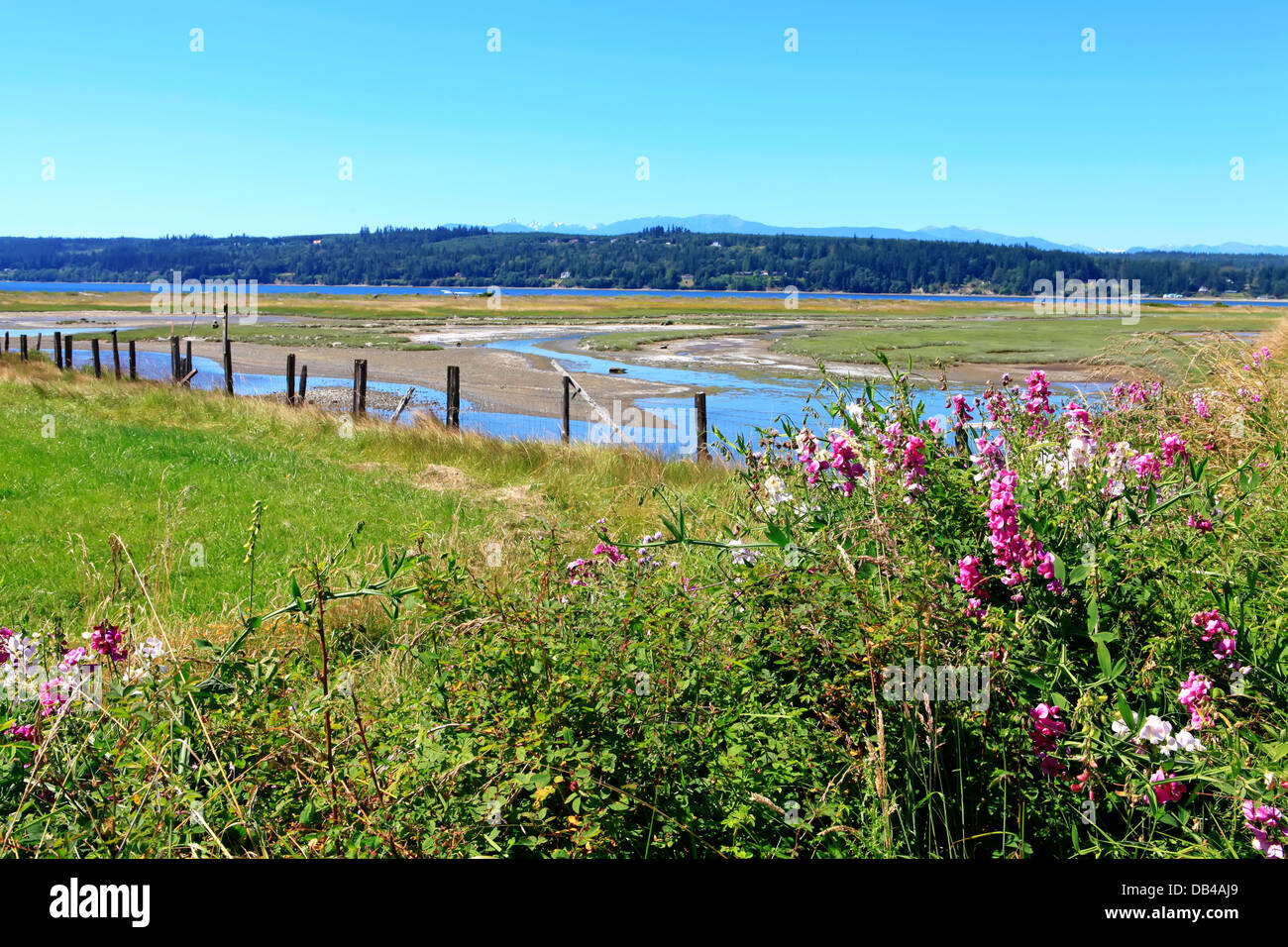 Marrowstone island. Olympic Peninsula. Washington State Stock Photo - Alamy
