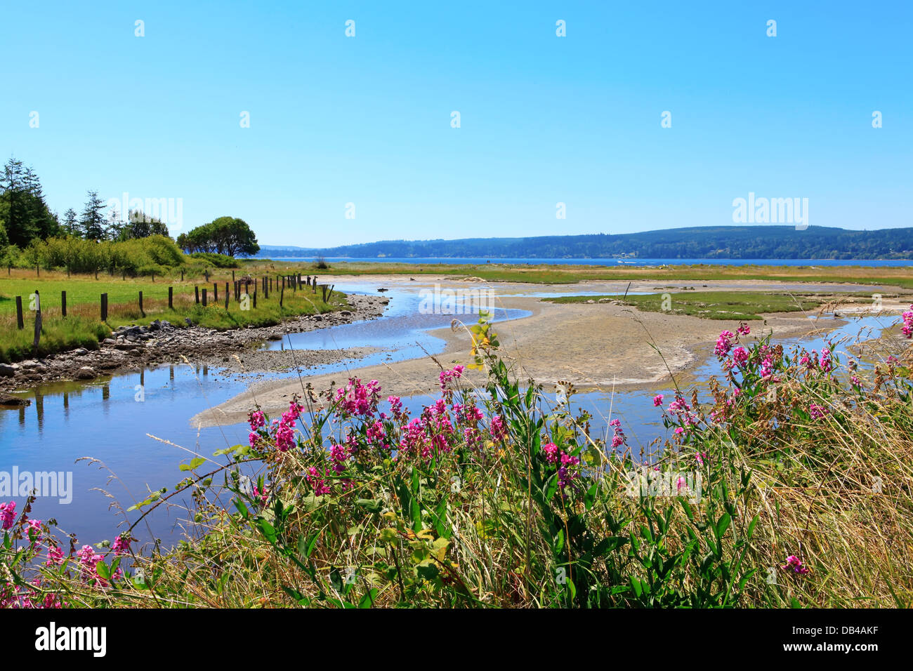 Marrowstone island. Olympic Peninsula. Washington State Stock Photo - Alamy
