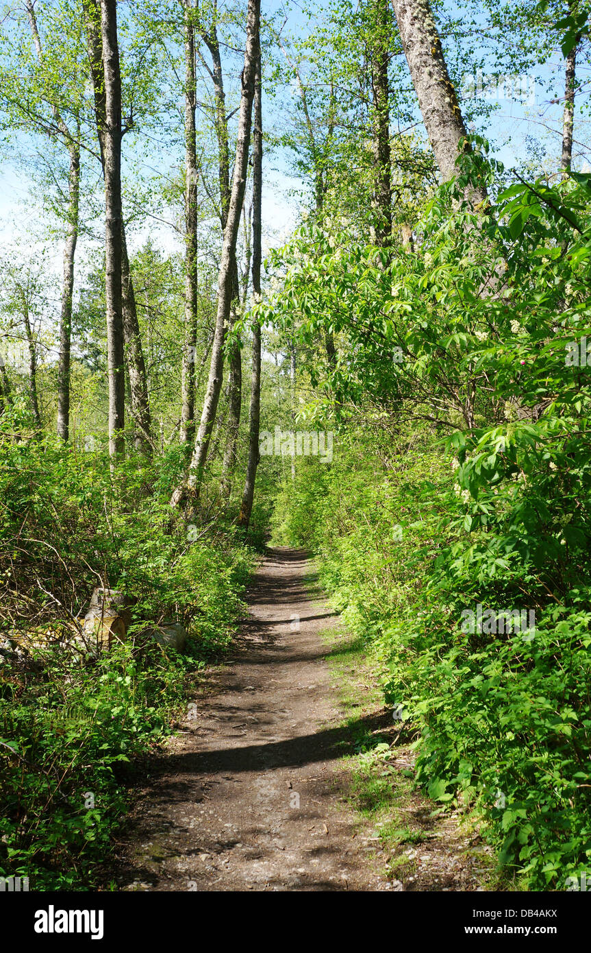 Dash point park hi-res stock photography and images - Alamy