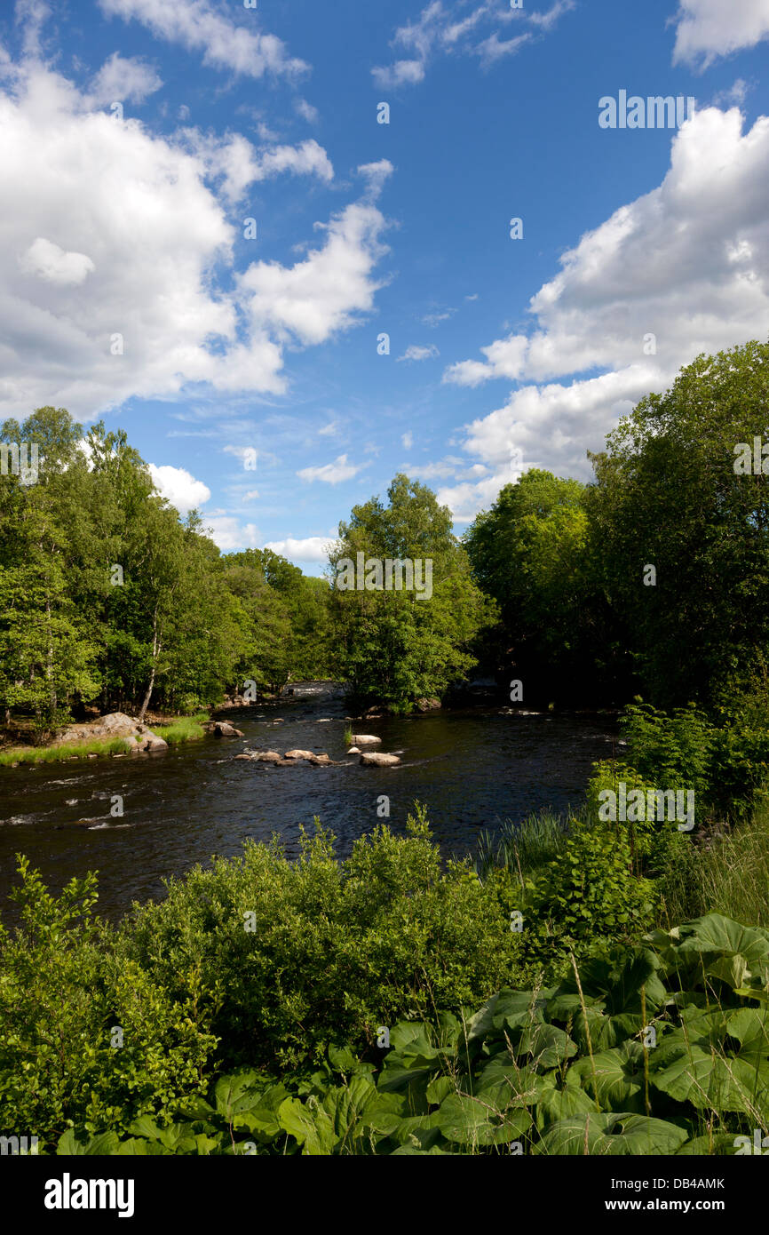 Mörrum River near Aakeholm. Sweden Stock Photo - Alamy