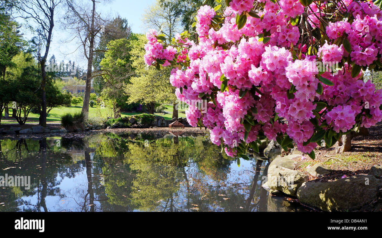 Point defiance park hi-res stock photography and images - Alamy