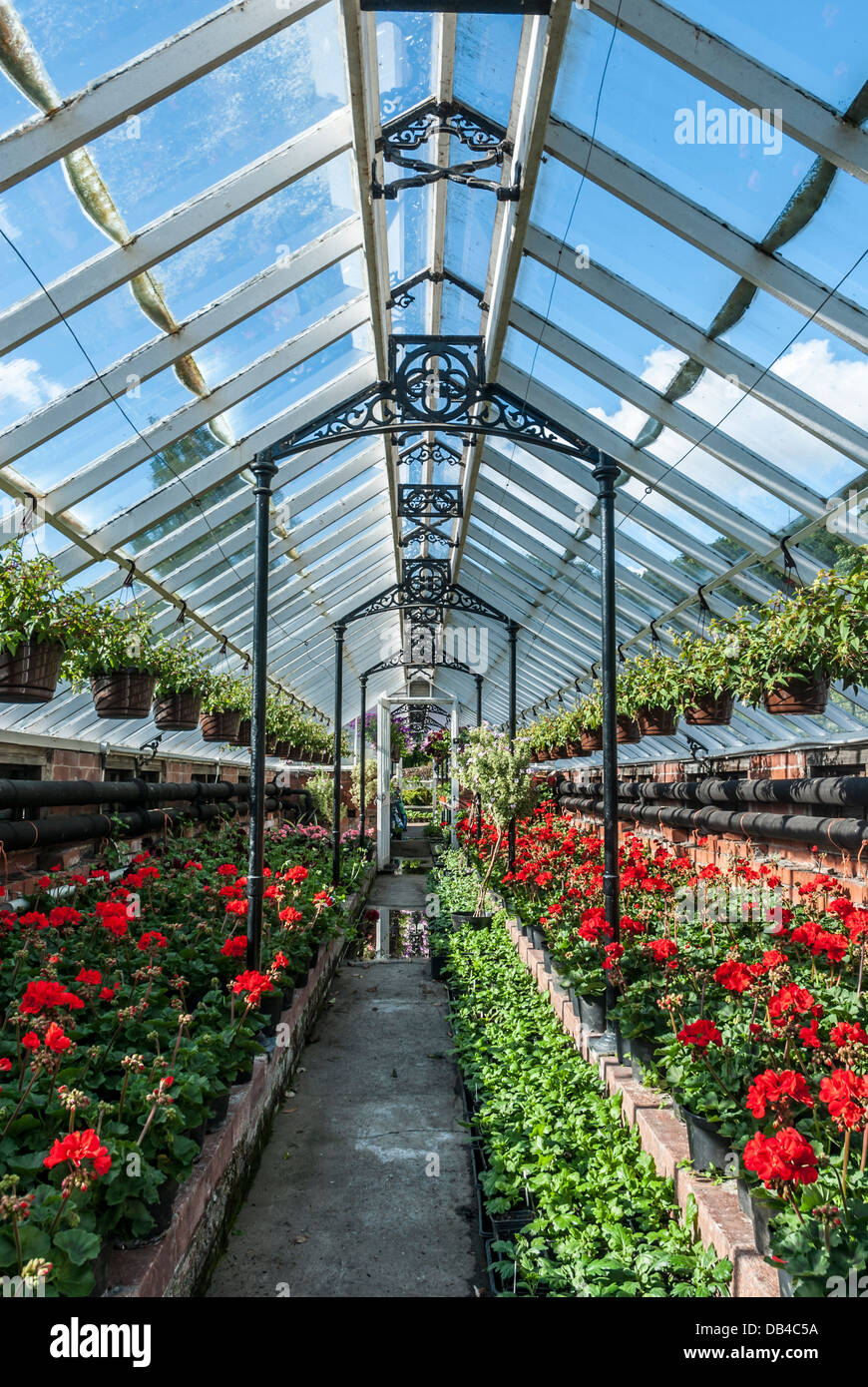 Victorian greenhouse hi-res stock photography and images - Alamy
