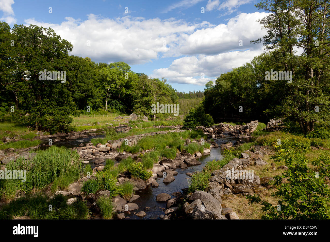 Sweden nature hi-res stock photography and images - Alamy