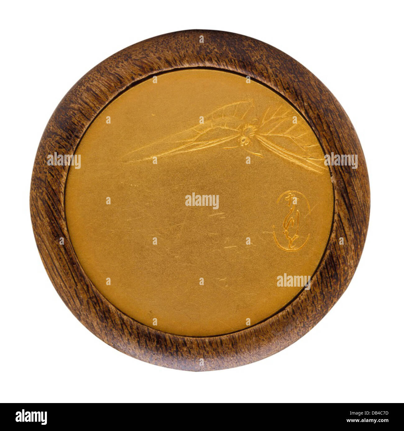 Moth details Cut Out Stock Images & Pictures - Alamy