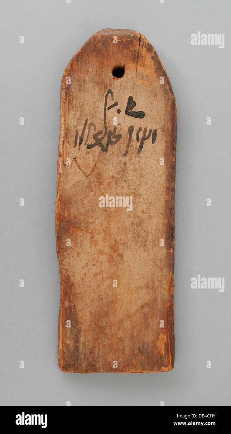 A mummy label inscribed with Demotic script, showcasing ancient ...