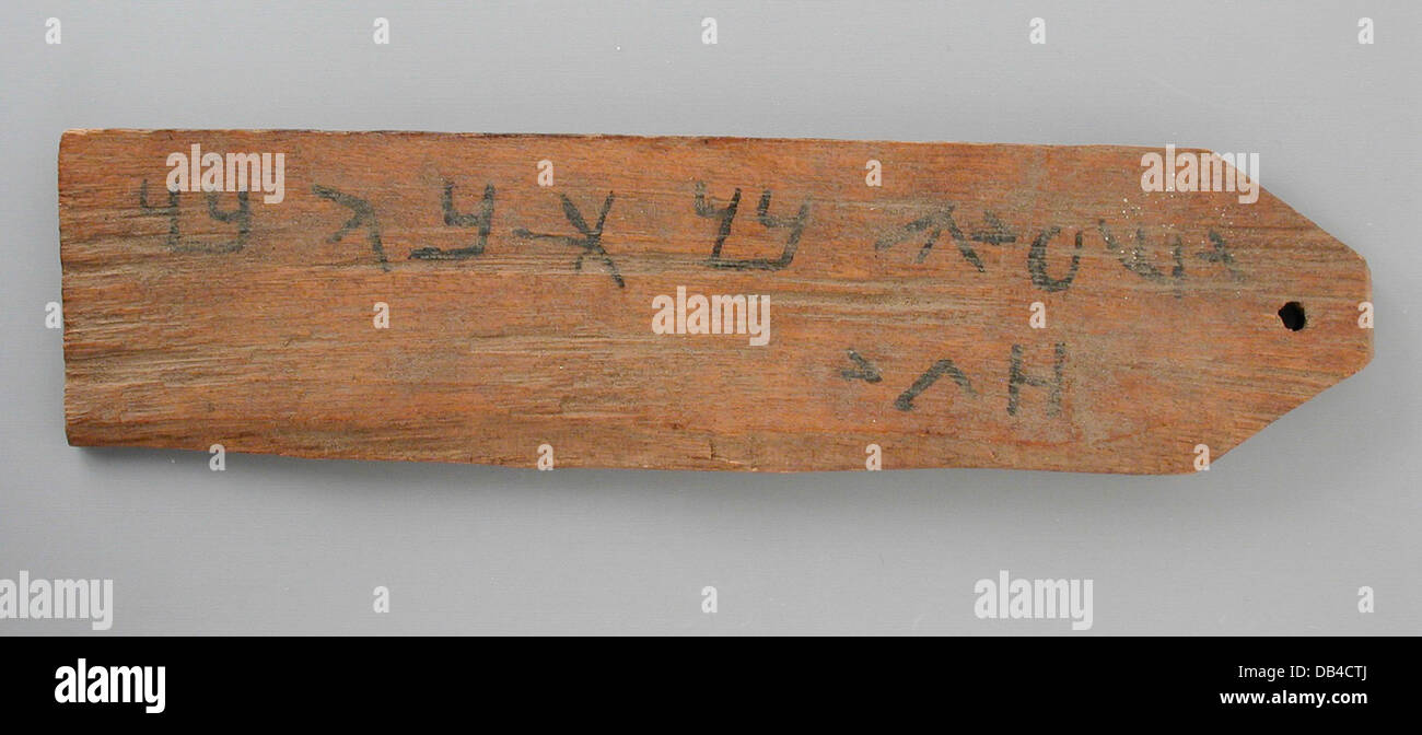 This ancient mummy label features an unidentified script, providing ...