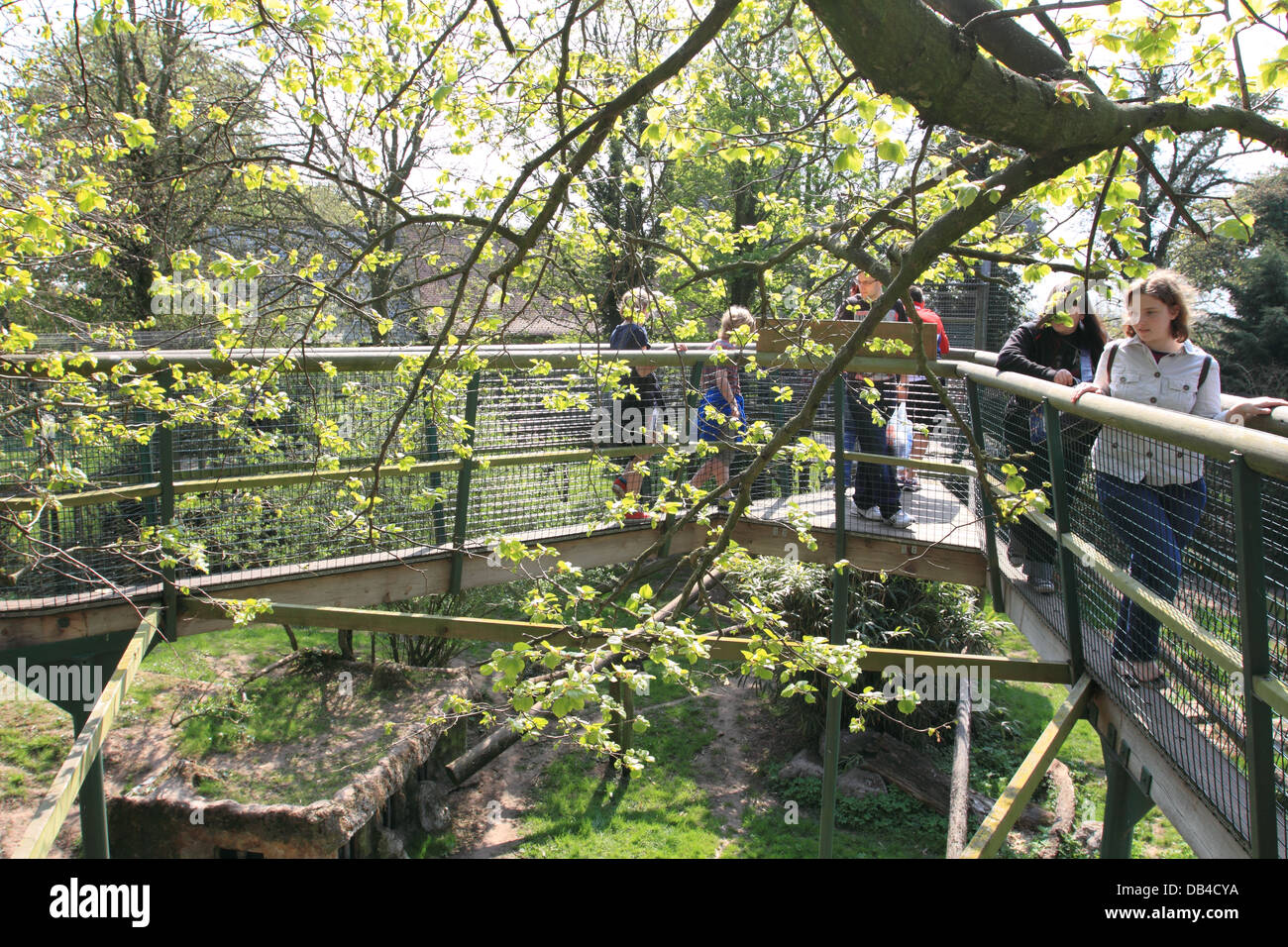 Way of the tiger hi-res stock photography and images - Alamy