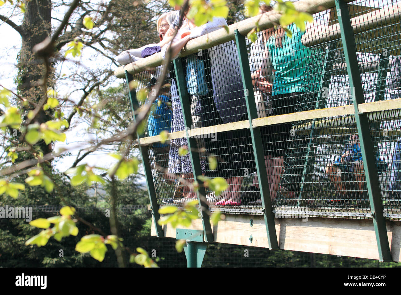 Way of the tiger hi-res stock photography and images - Alamy