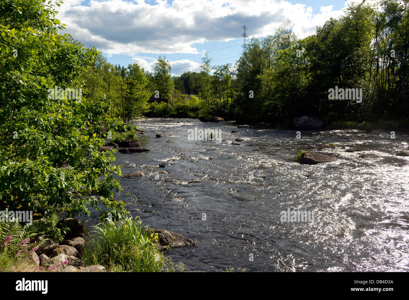 Morrum River at Kaeringahejan's nature reserve. Sweden Stock Photo - Alamy