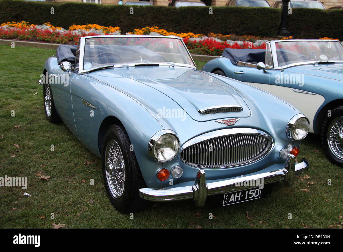 Austin Healey on show in Hobart Stock Photo - Alamy
