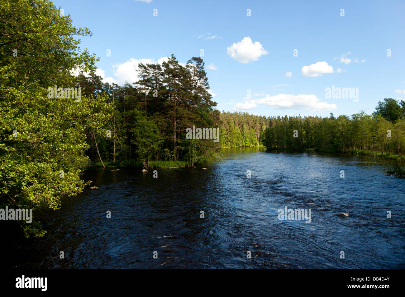Mörrum River between Åkeholm and Svaengsta. Sweden Stock Photo - Alamy