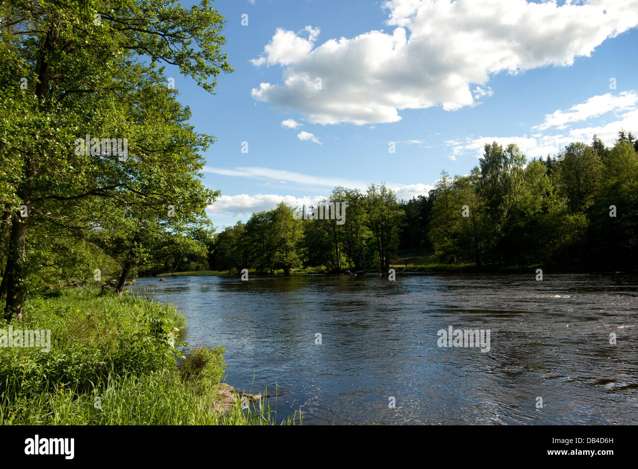 Mörrum River between Åkeholm and Svaengsta. Sweden Stock Photo - Alamy