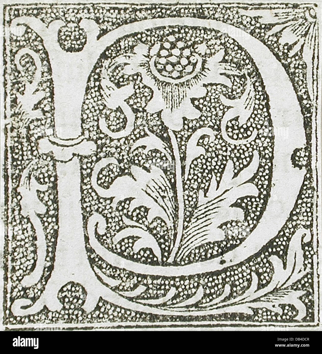 This collection of ornamental letters is crafted with intricate details ...