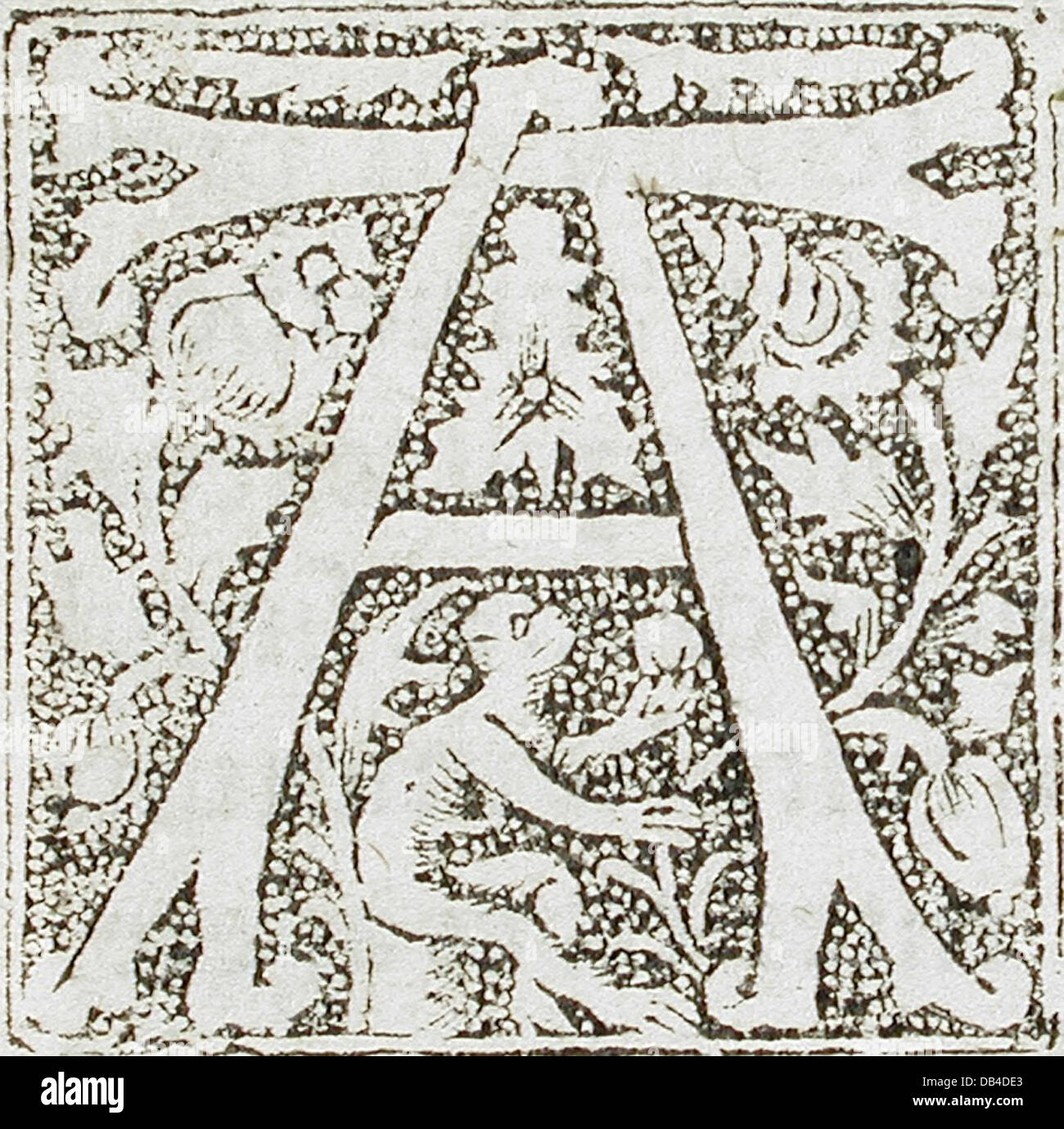 These nineteen ornamental letters, carved with intricate detail ...