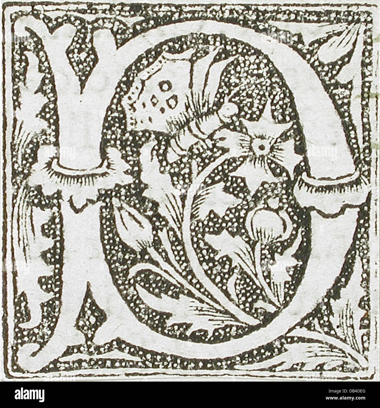 This collection of ornamental letters blends early written forms with ...