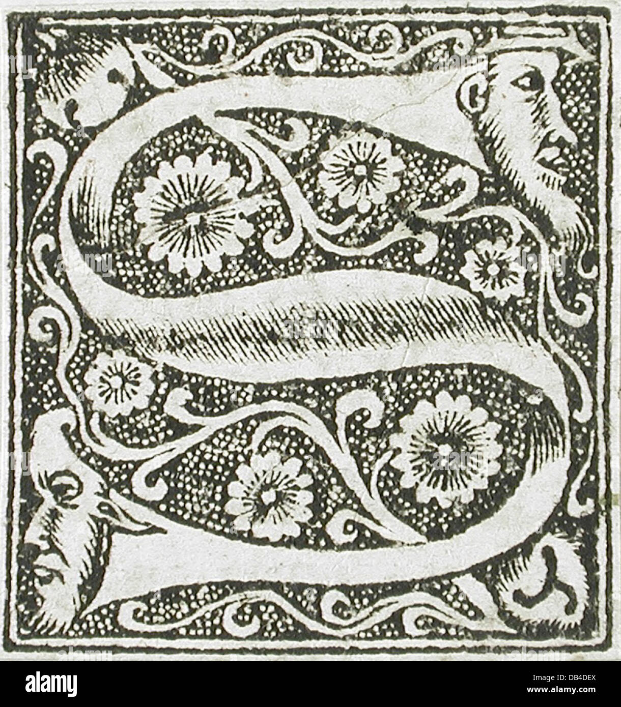 This set of ornamental letters features various designs, showcasing the ...