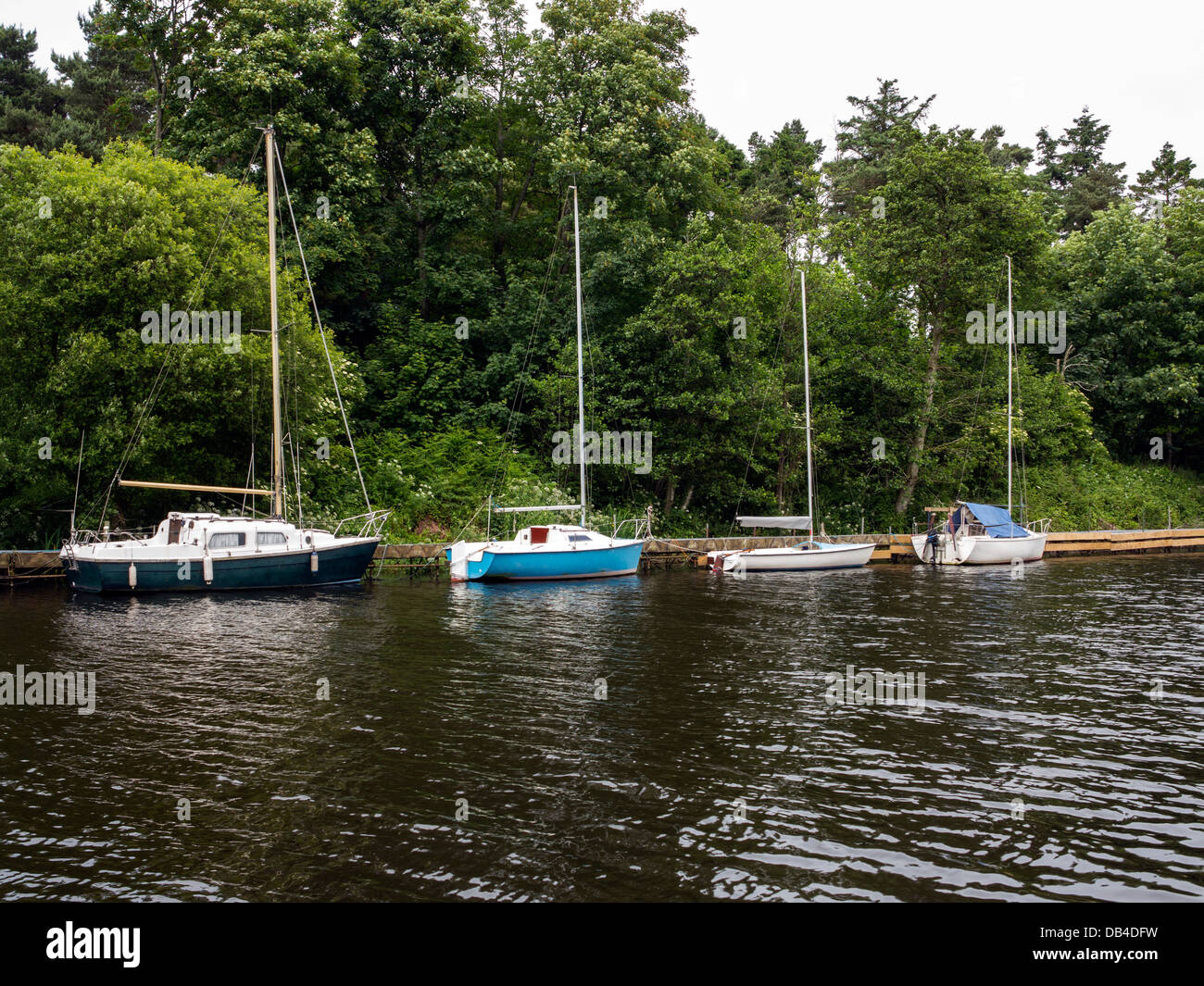 a row os sailing boats in marina Stock Photo - Alamy
