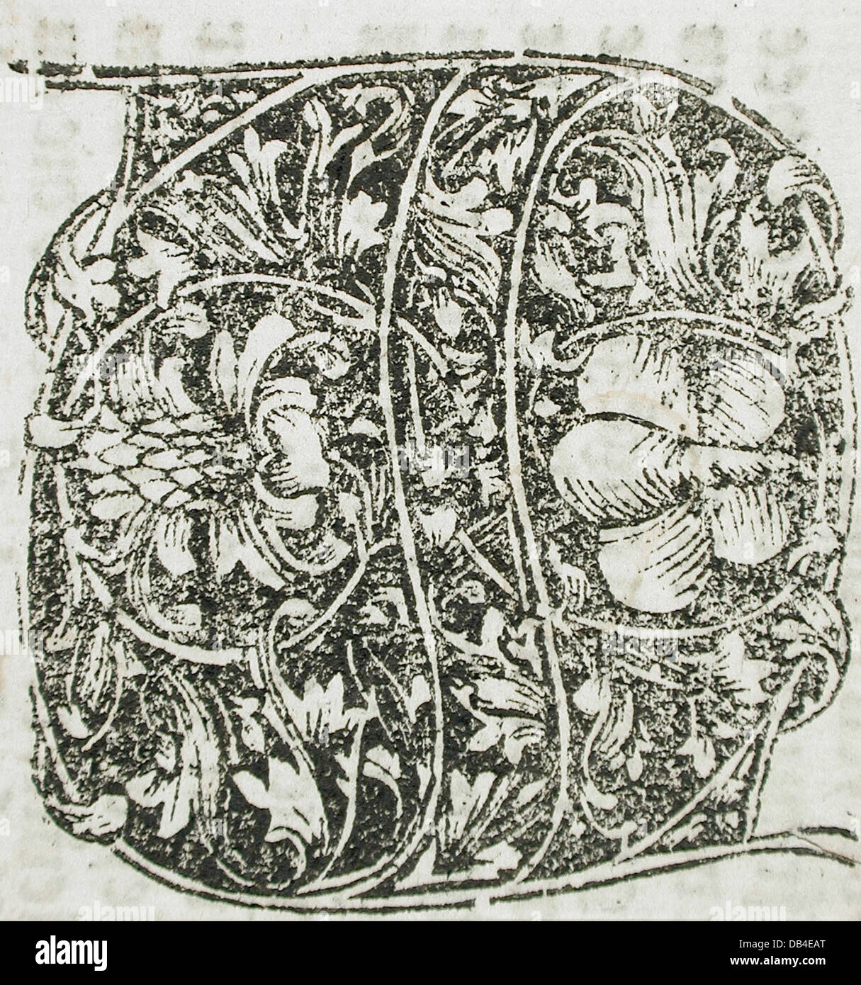 These ornamental letters are part of an extensive collection ...