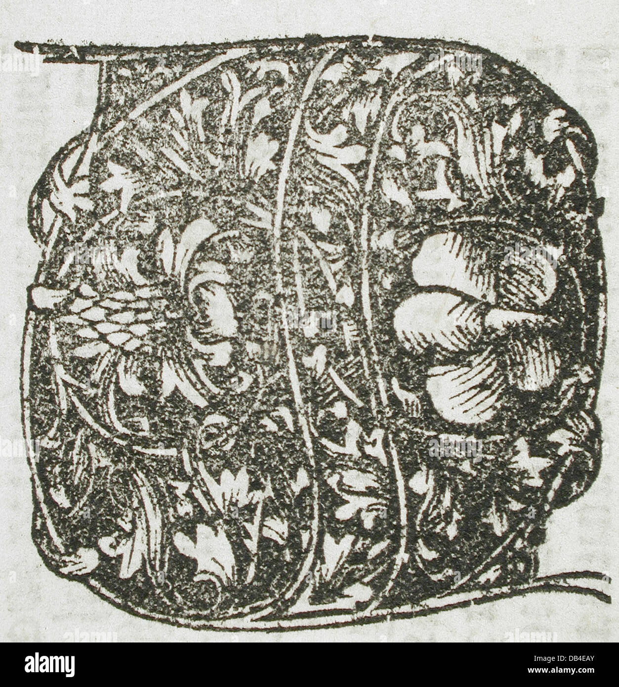 These ornamental letters are part of a set of artistic calligraphy ...