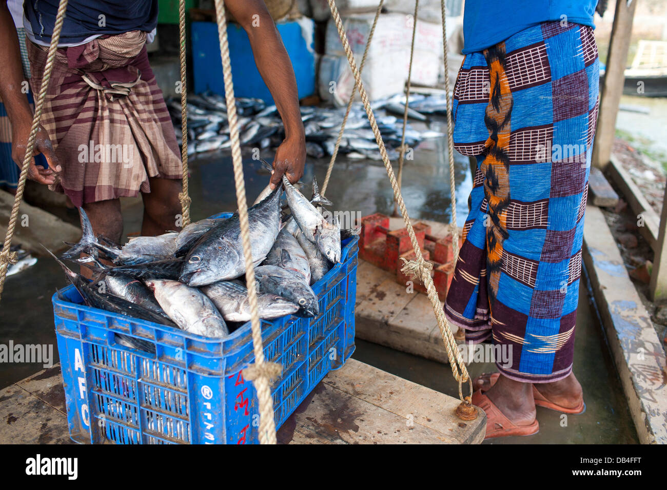 Fish is weighed on scales in a milk crate in Mahipur, close to Kuakata ...