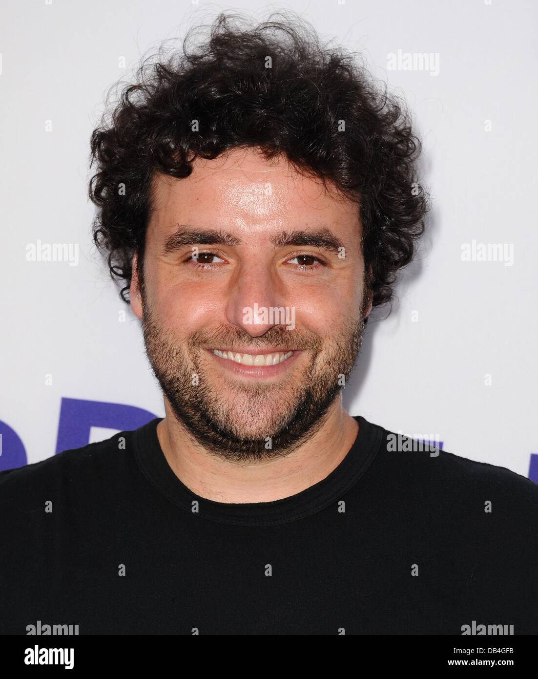 Los Angeles, CA. 23rd July, 2013. David Krumholtz at arrivals for THE ...