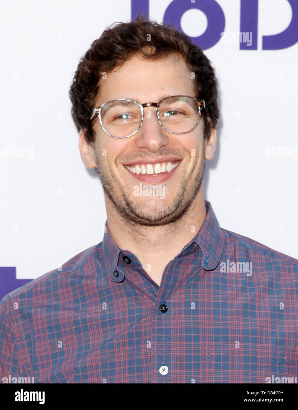 Los Angeles, CA. 23rd July, 2013. Andy Samberg at arrivals for THE TO ...