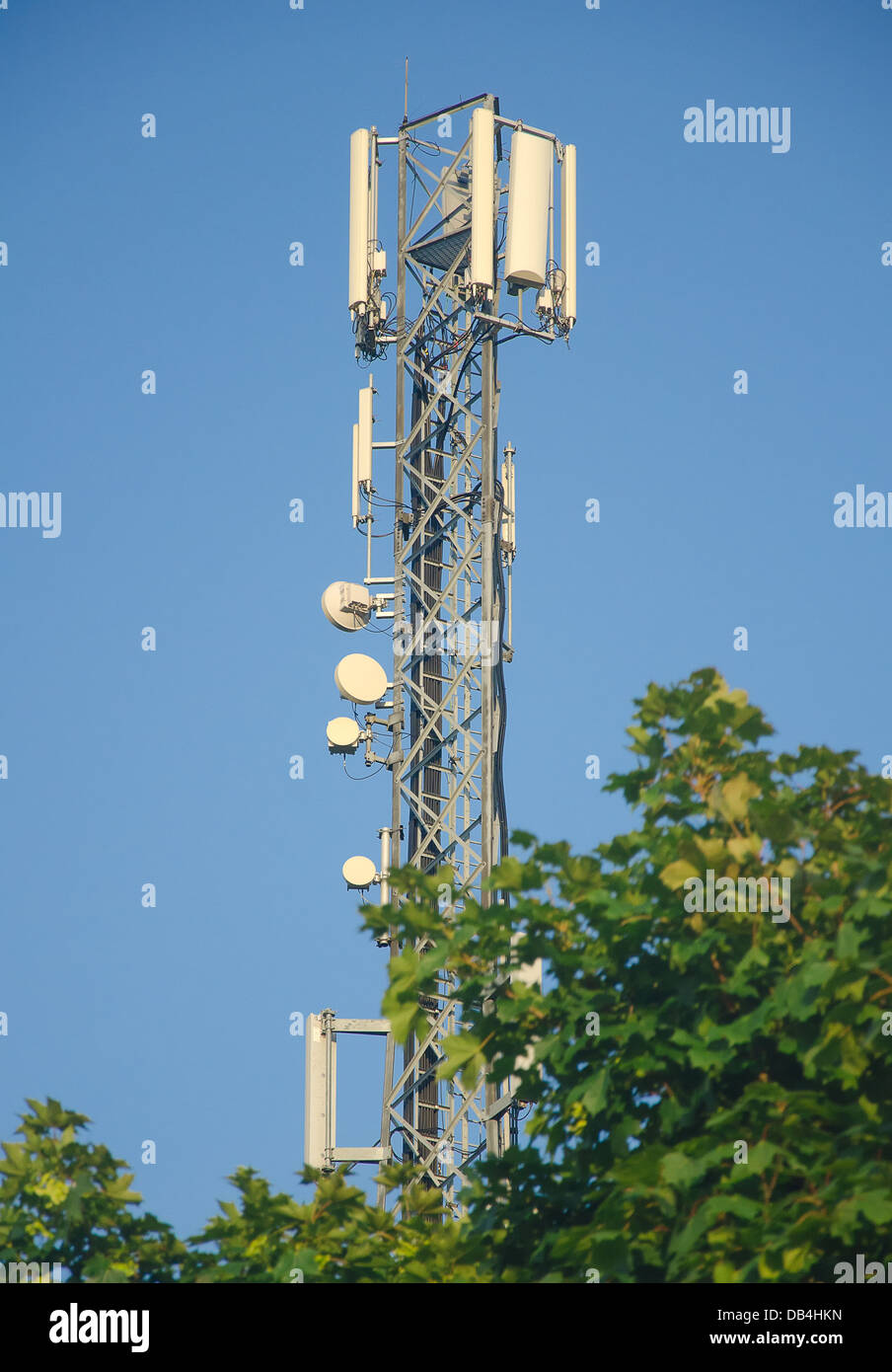 Cellular tower in forest Stock Photo - Alamy