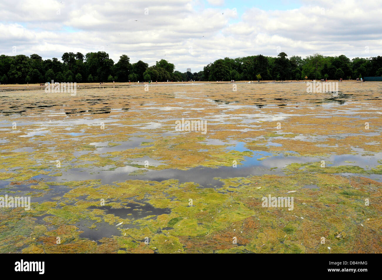 Round pond hi-res stock photography and images - Alamy
