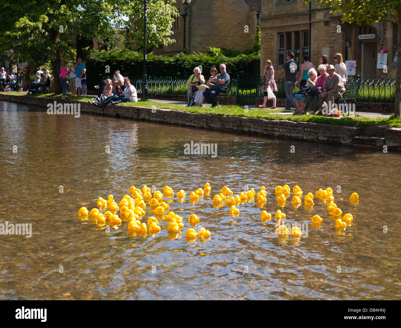 Racing ducks hi-res stock photography and images - Alamy