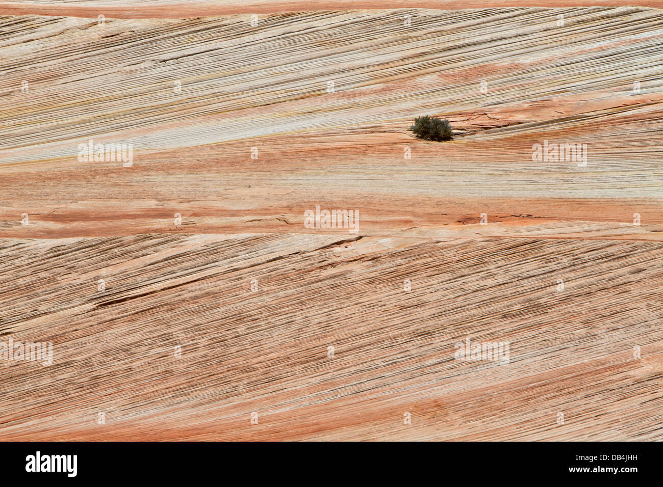 Layered sandstone hi-res stock photography and images - Alamy