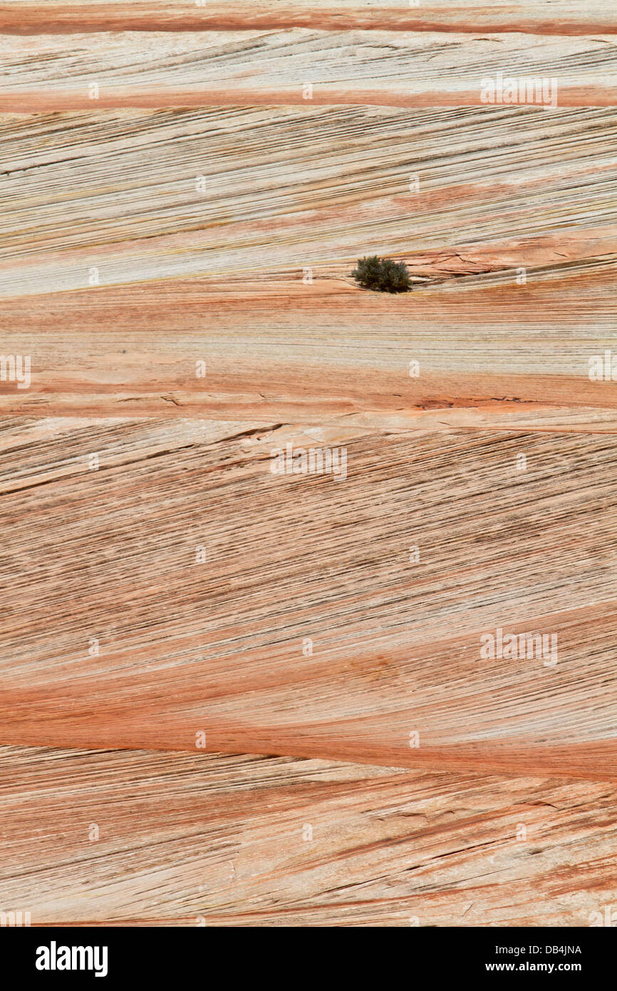 Layered sandstone hi-res stock photography and images - Alamy