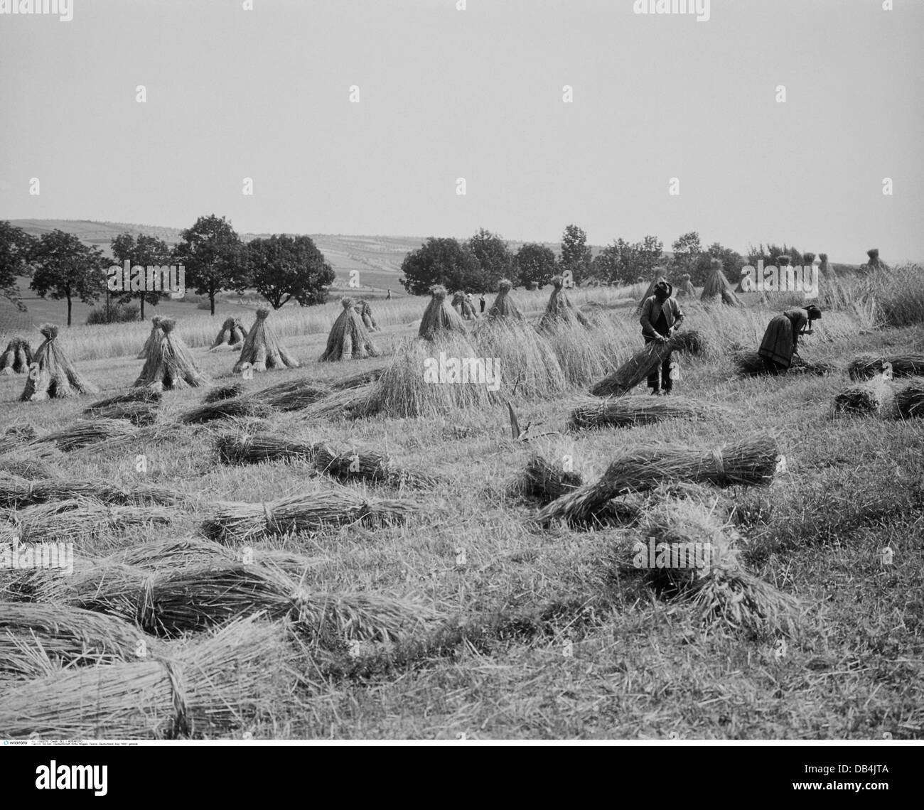 What Was Agriculture Like In The 1920S at Megan Blackmon blog