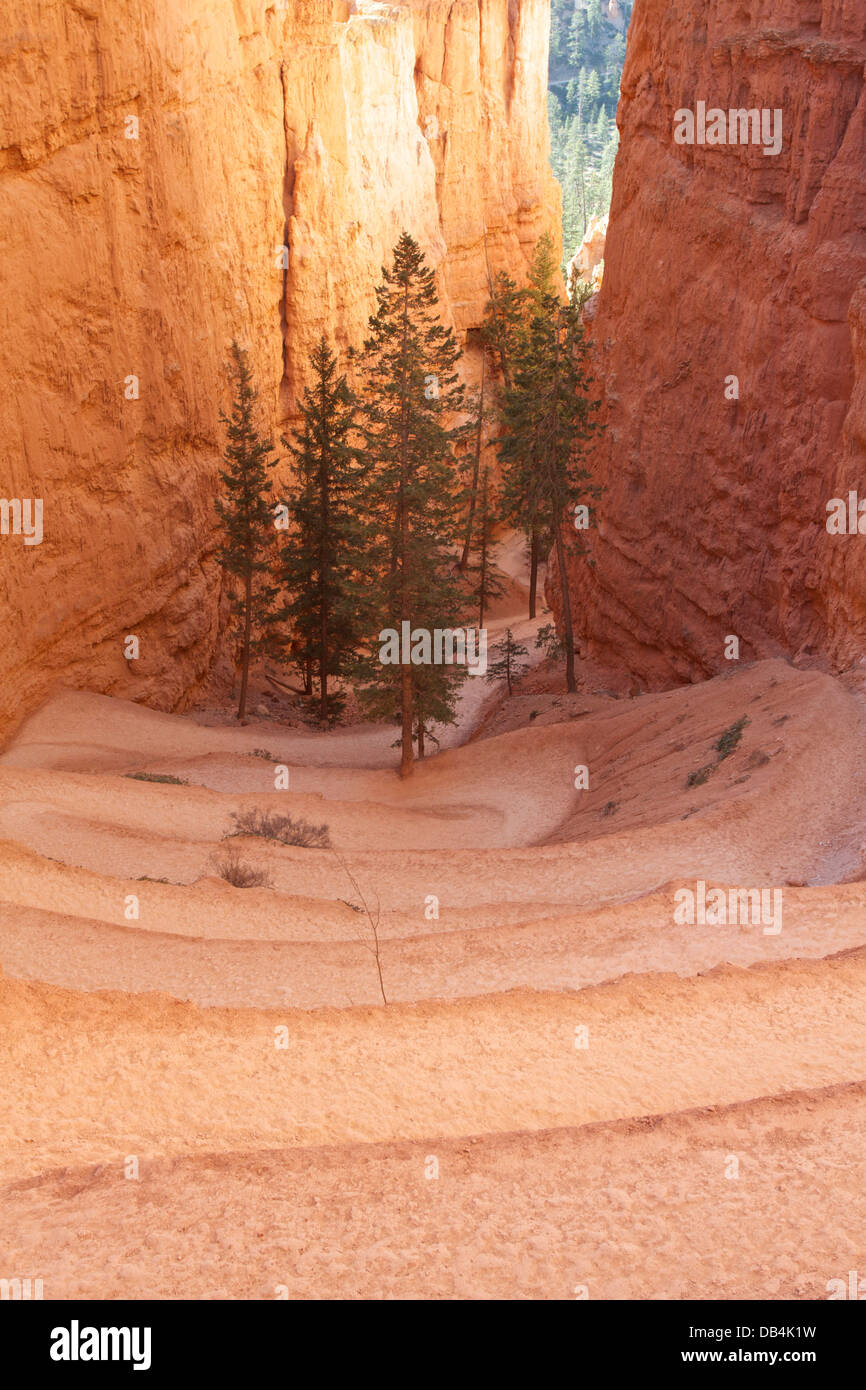 Switchbacks on the Navajo Loop Trail in Bryce Canyon National Park ...