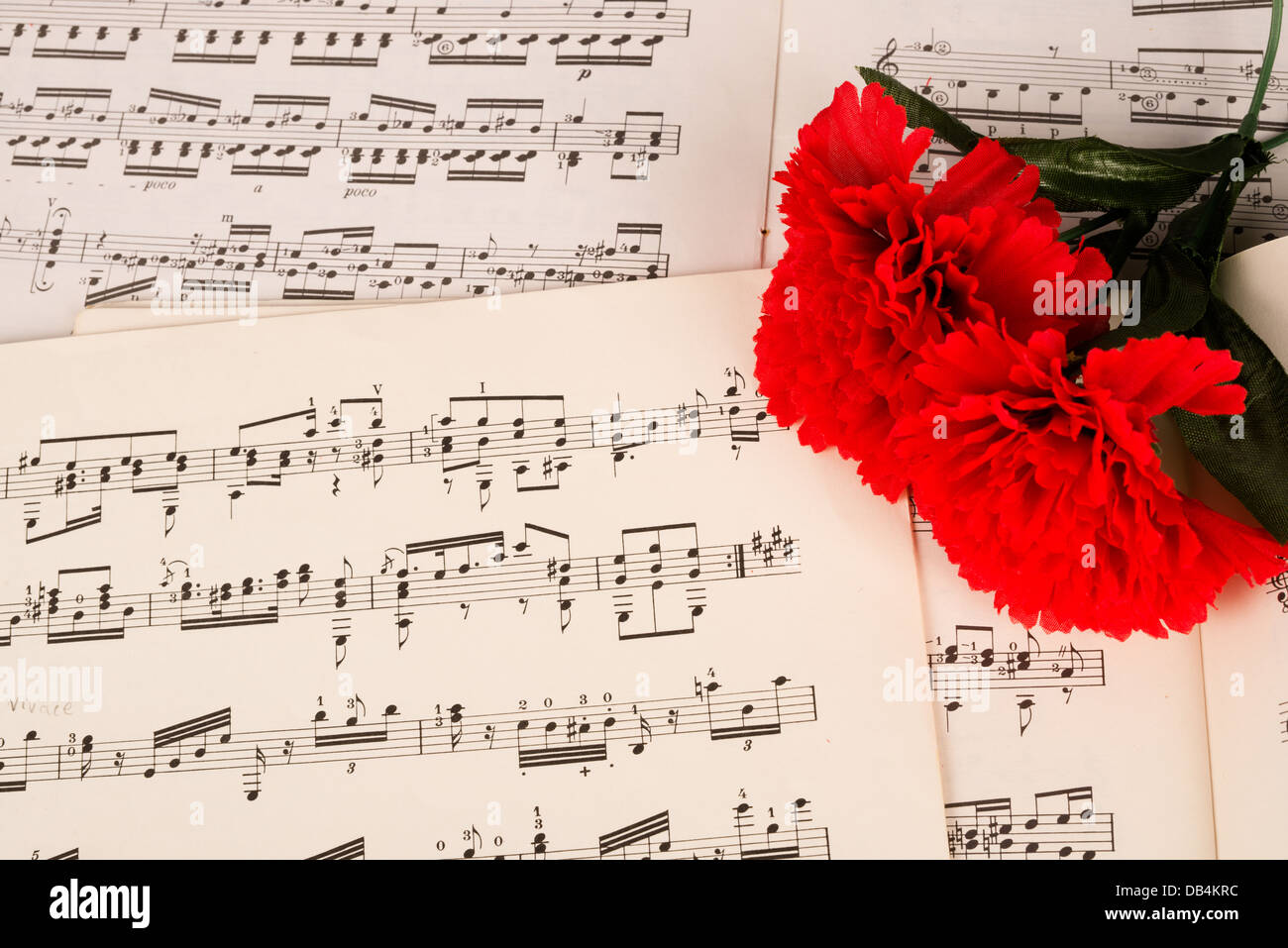 Carnation and a score symbolizing flamenco music Stock Photo - Alamy