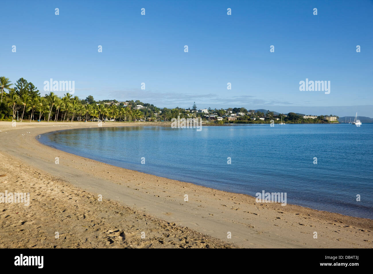 Beach at the Whitsunday's township of Airlie Beach. Whitsundays ...