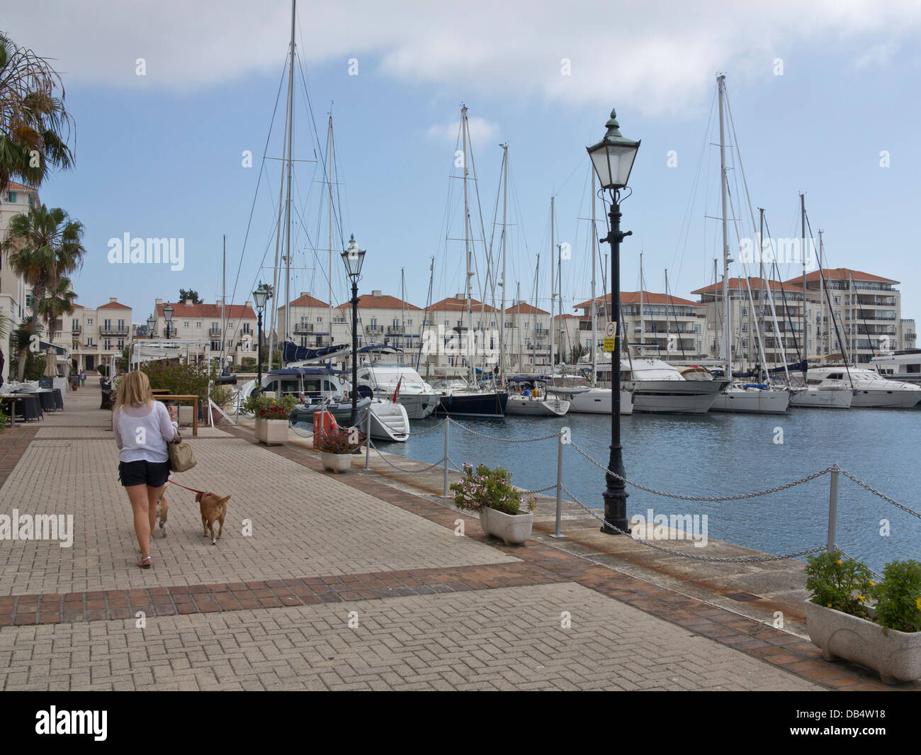 Luxury yacht marina in Gibraltar Stock Photo - Alamy