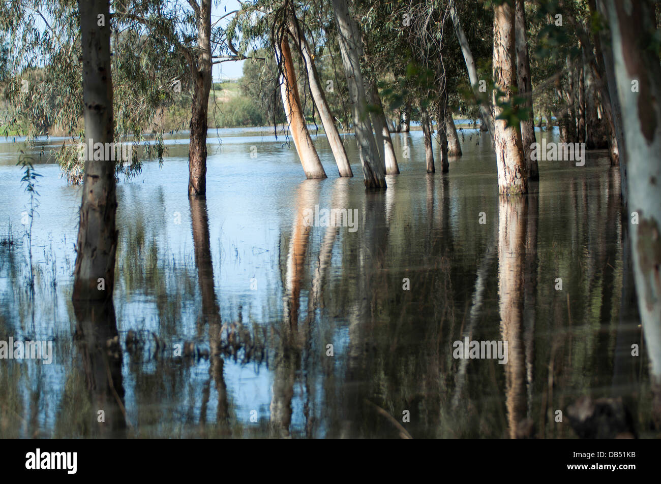 Winter Swamp, (Vernal pool) this area floods during the winter rainy ...