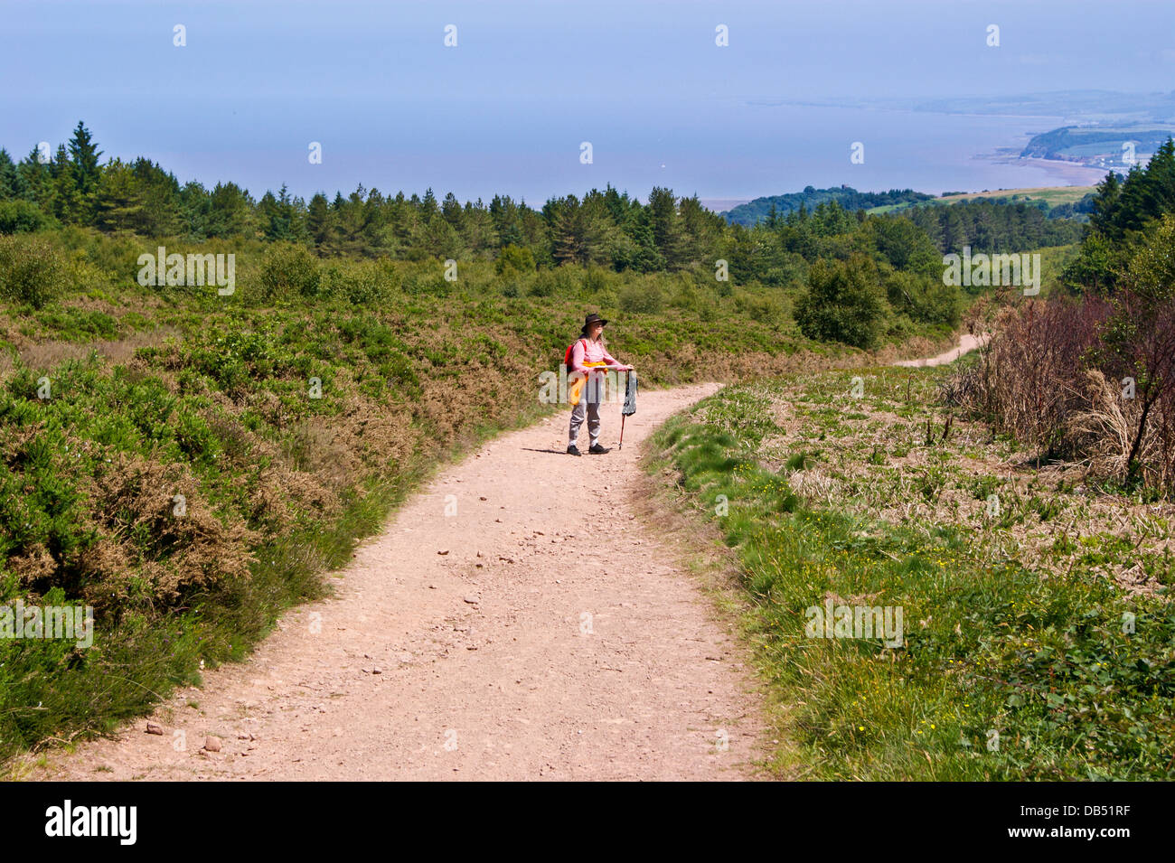 A walker looking at a map on the Macmillan Way West long distance ...