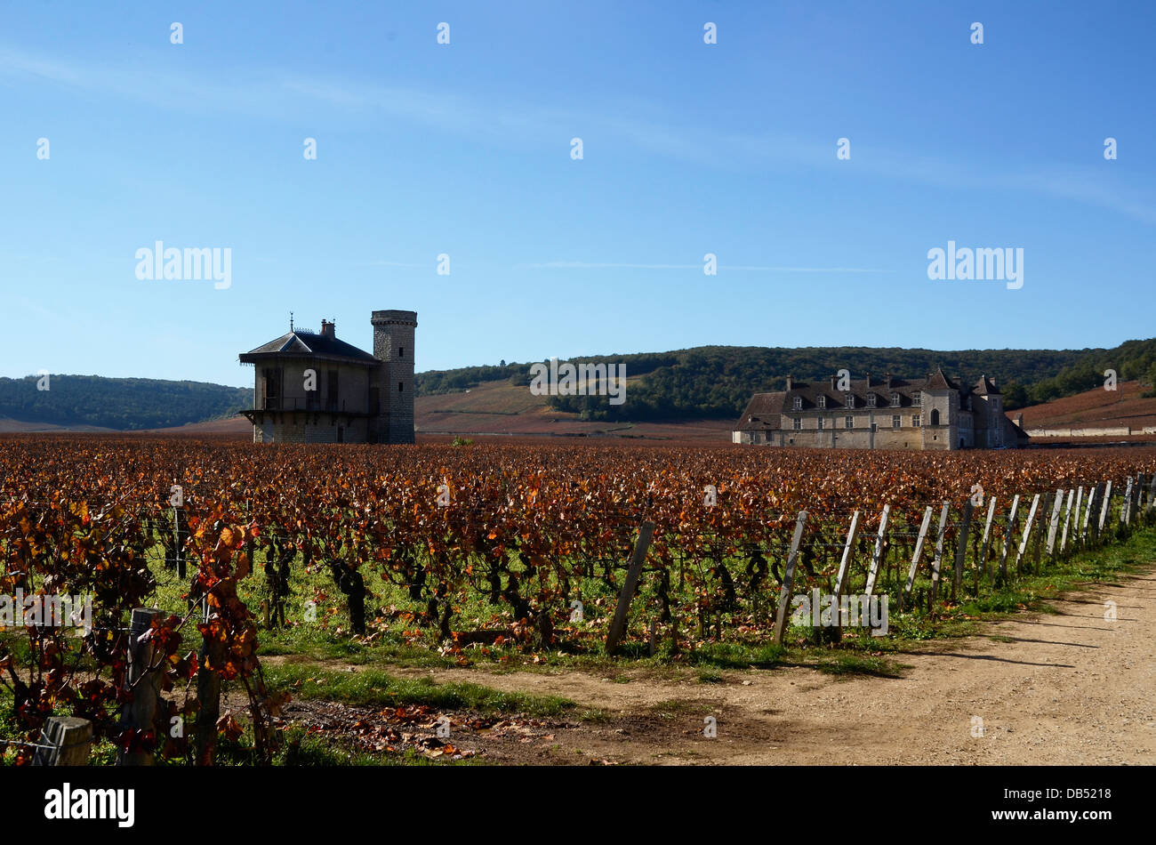 Autumn Vineyard Photographed in France in October Stock Photo - Alamy
