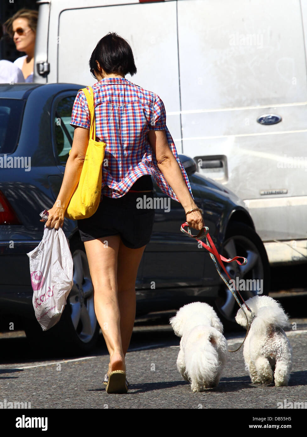 Sadie Frost Sadie Frost and her son Rafferty take their dogs for a walk ...