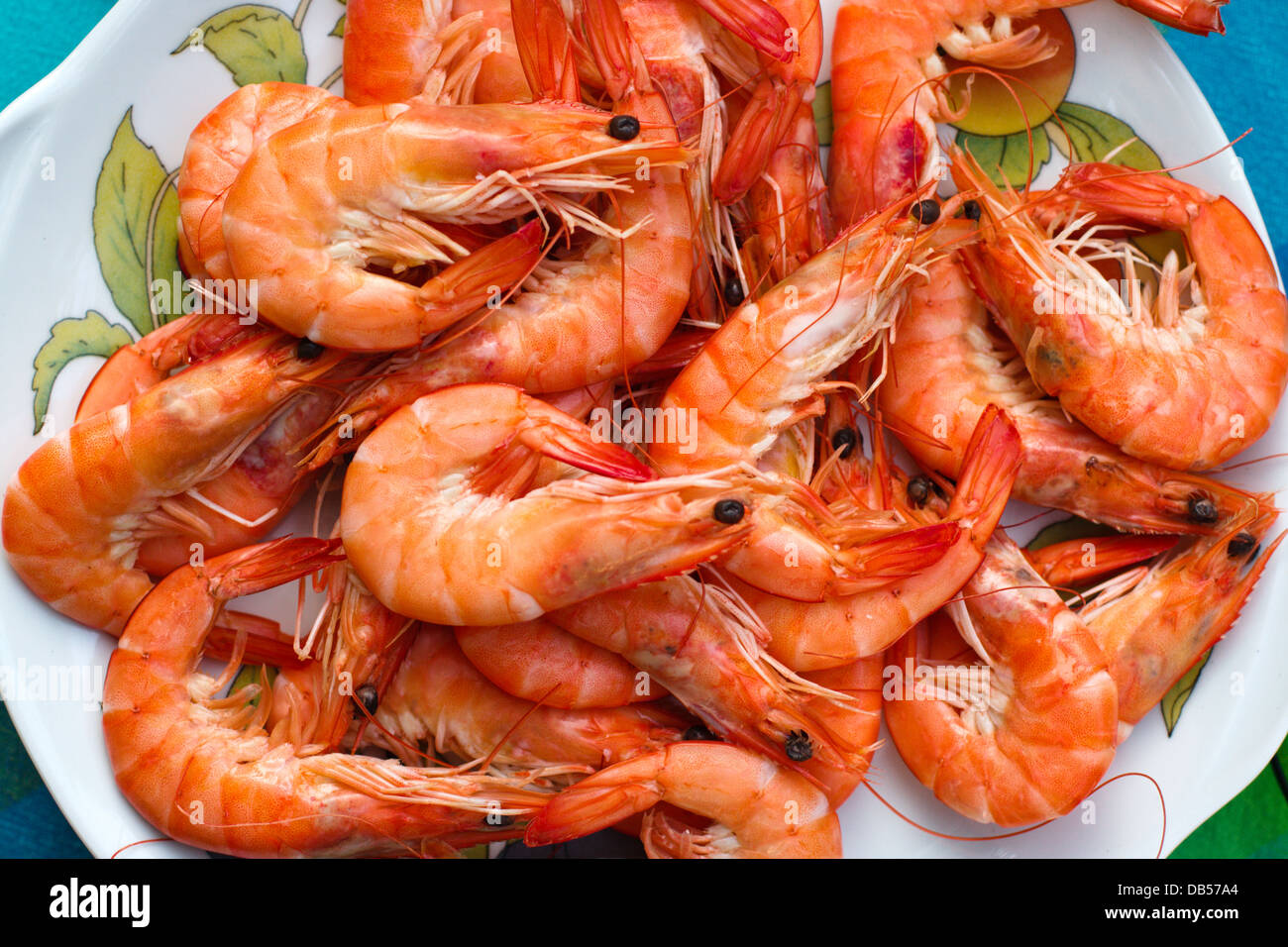 Plate with prawns close-up Stock Photo - Alamy