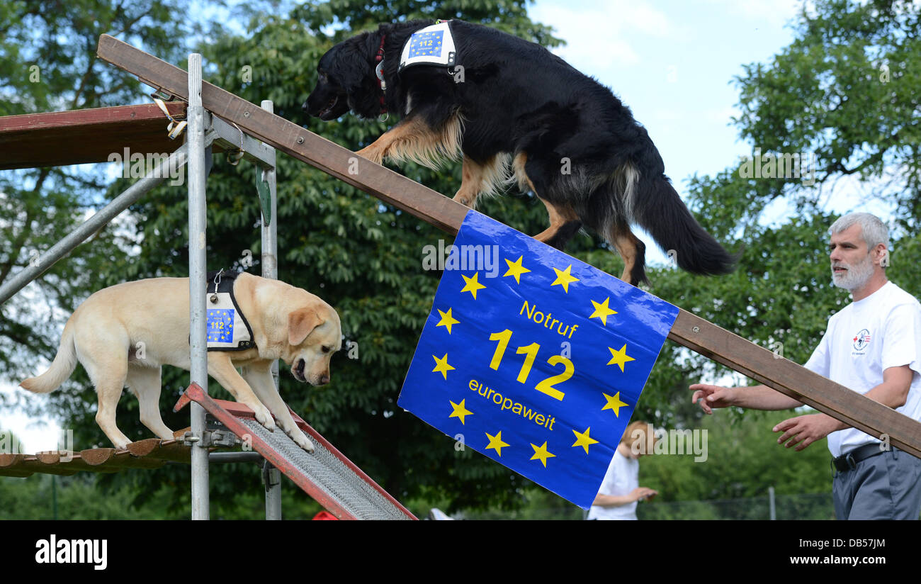 Rescue dogs practice next to a poster with the emergency number 112 in ...