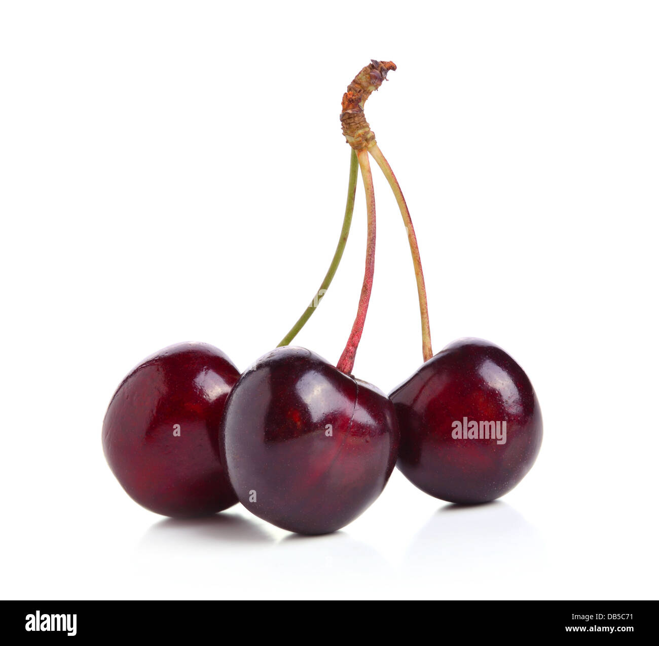 Ripe red cherries on stems against a white background Stock Photo - Alamy