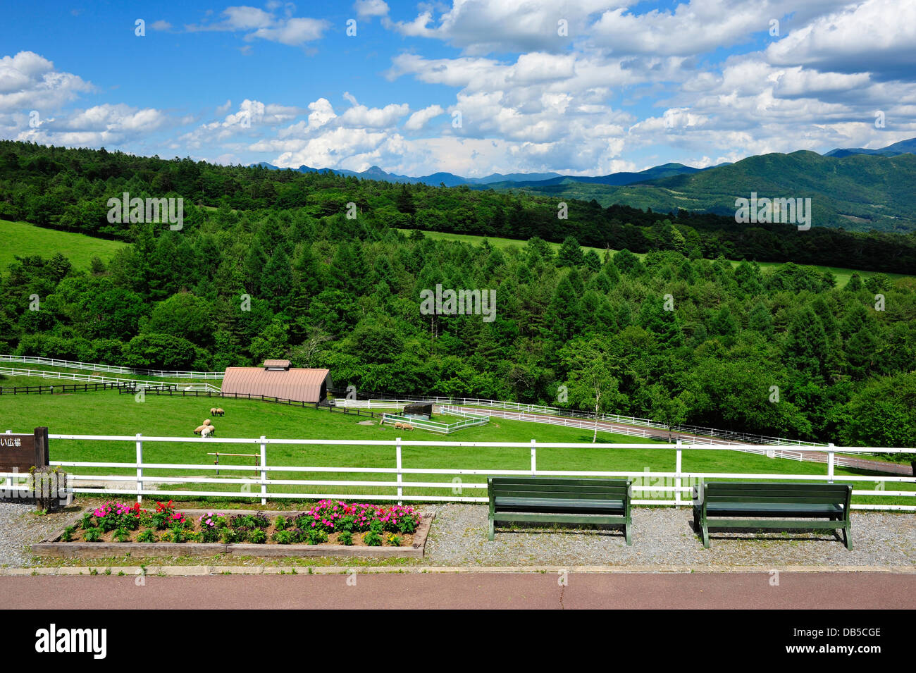 Makiba hi-res stock photography and images - Alamy