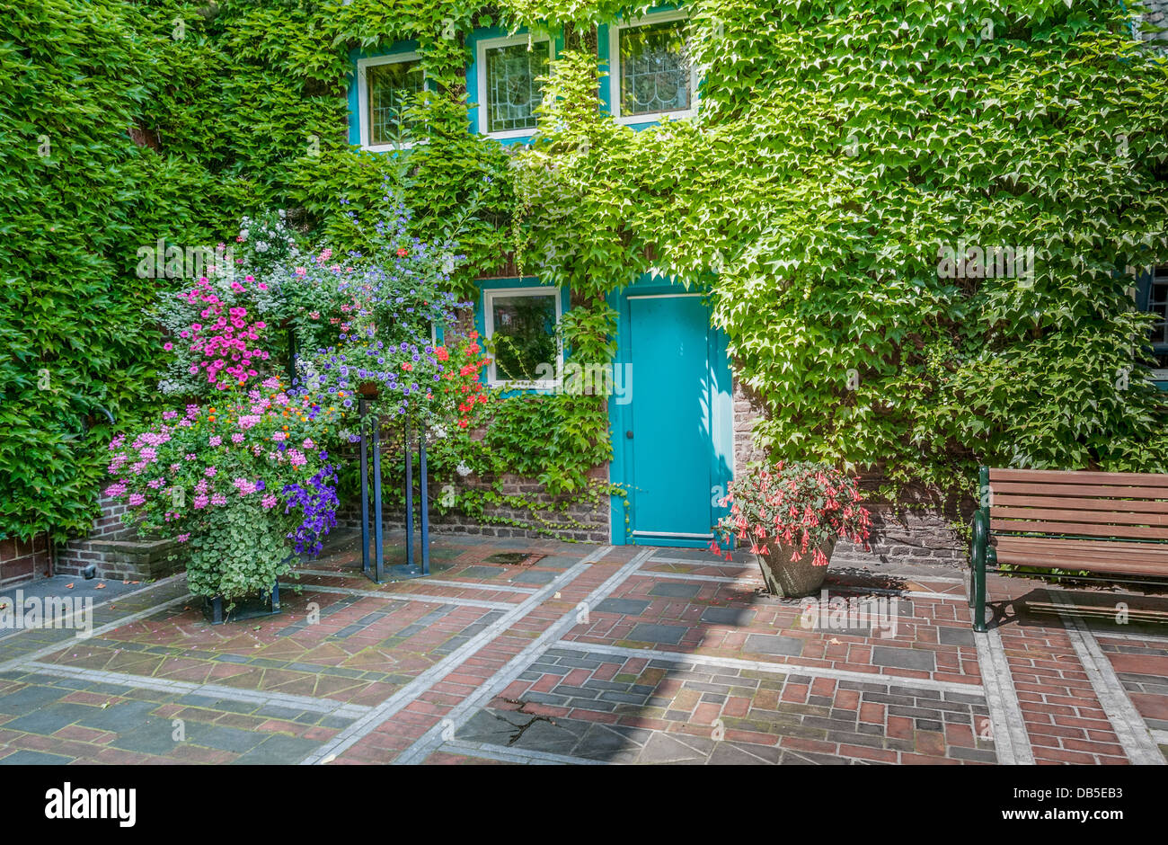 lots of flowers and green in house pation garden Stock Photo - Alamy