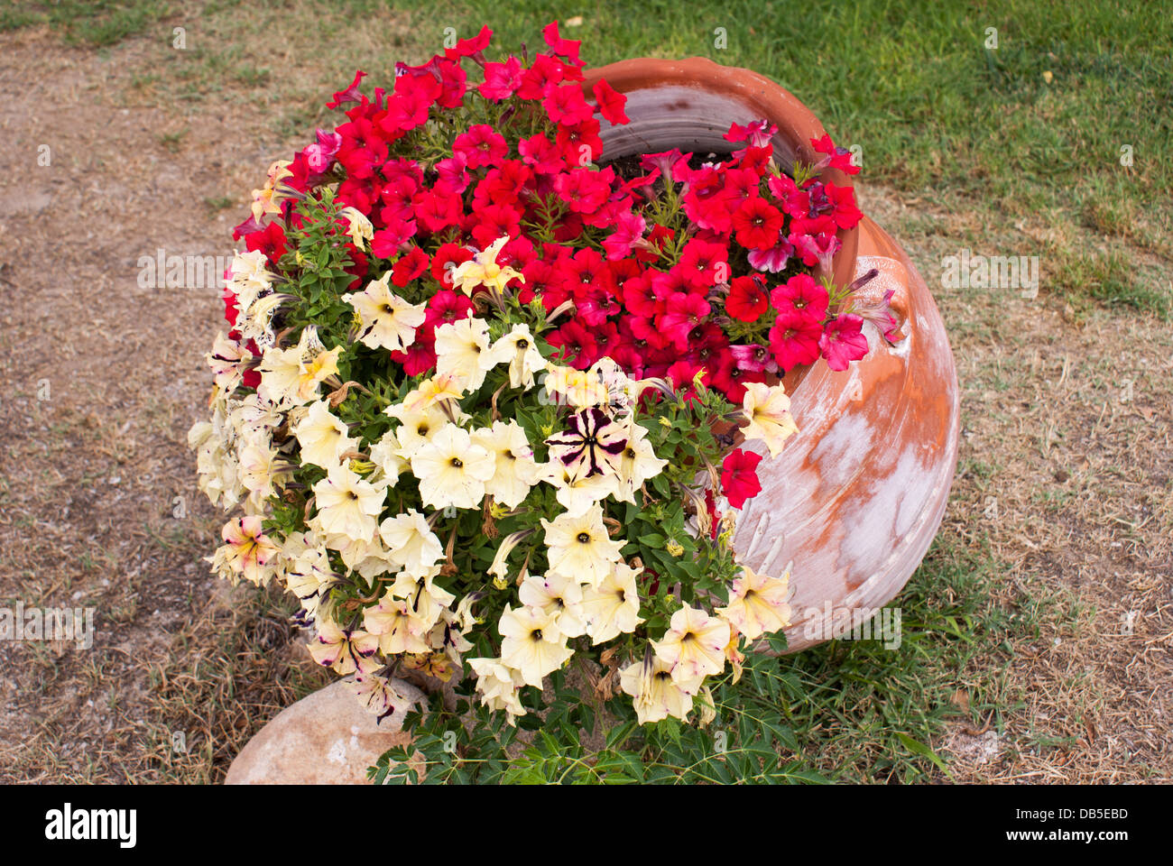 Beautiful flowers in ancient Greek vase Stock Photo - Alamy