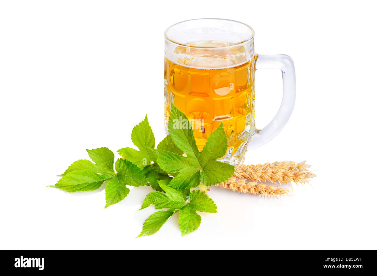 Hop leaves hi-res stock photography and images - Alamy