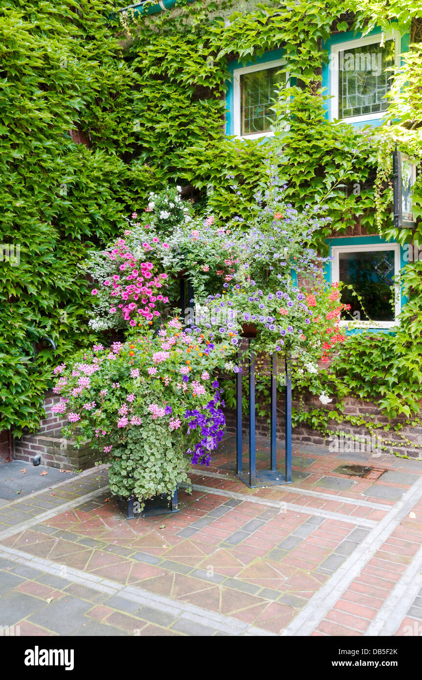 lots of flowers and green in house pation garden Stock Photo - Alamy